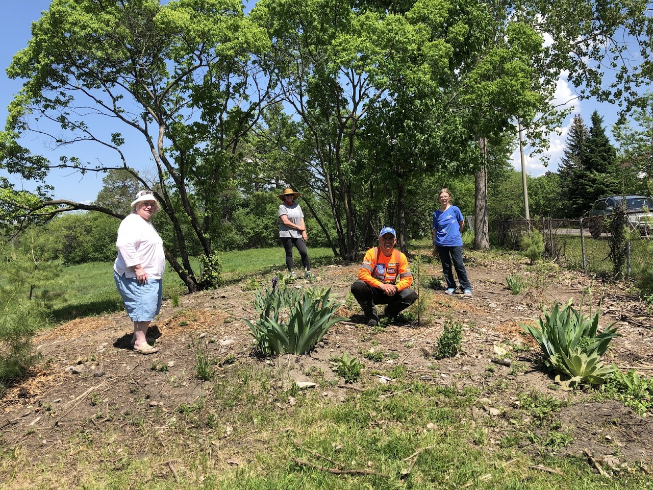 Selby Plains Pollinator Garden – Westboro Beach Community Association